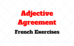 The adjectival agreement: French Exercises - Exercises