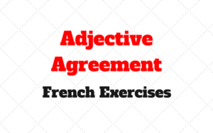 The adjectival agreement: French Exercises - Exercises